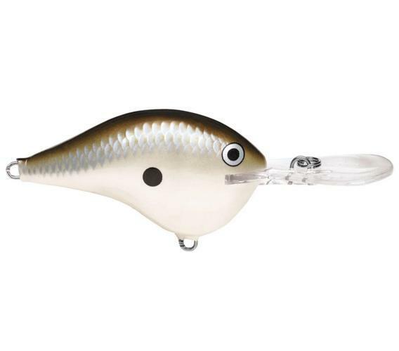 Rapala DT10 | eBay