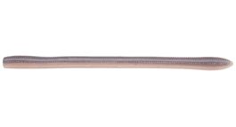 Daiwa X Gary Yamamoto 5" Neko Crawlers - Fishingurus Angler's ...