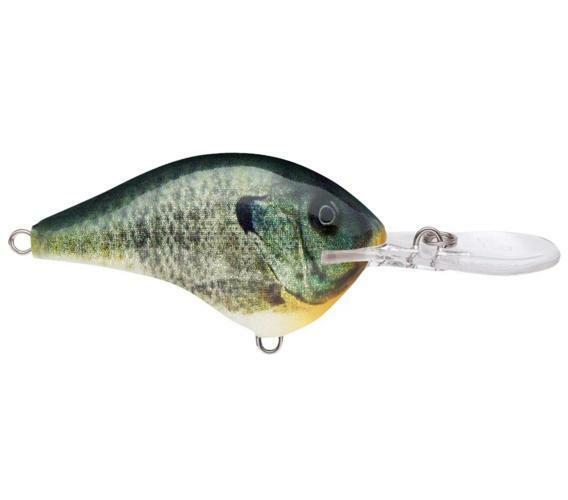 Rapala DT10 | eBay